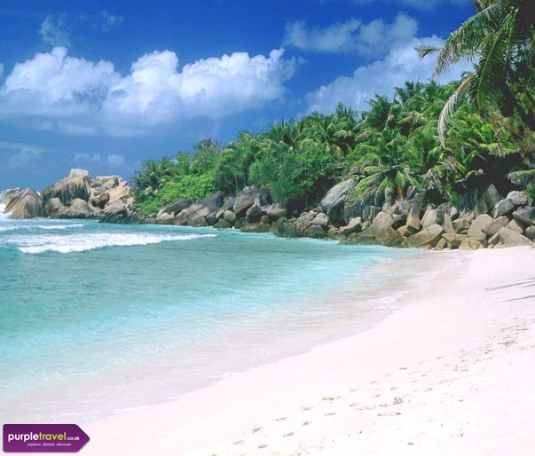 Cheap hotels Goa | Purple Travel